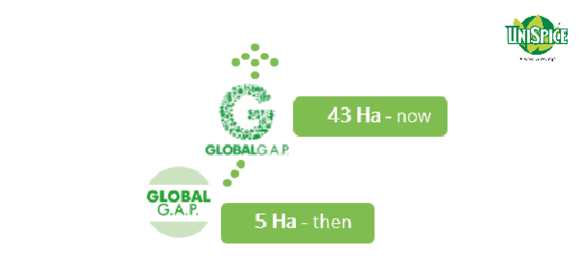 Socioeconomic impact study - UniSpice